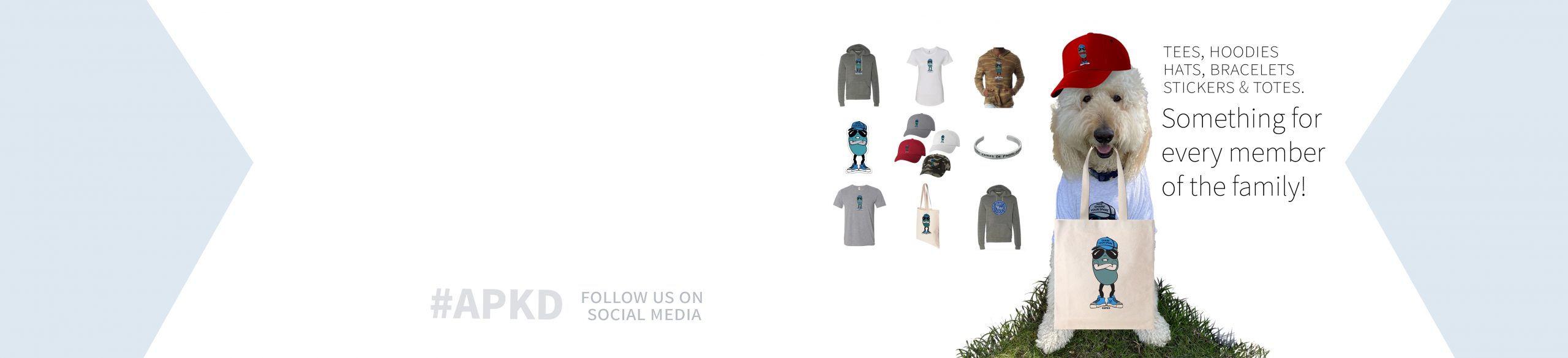 APKD-Flash-Sale-Banner3 | Alliance for Paired Kidney Donation